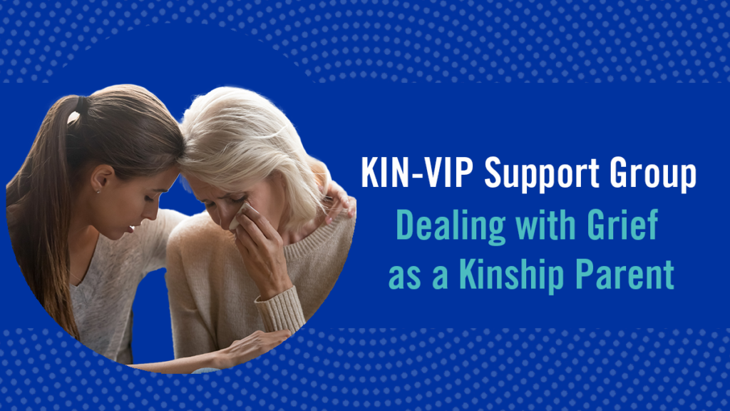 THE KIN – VIRTUAL INTERACTION PROGRAM – CoSW LMS